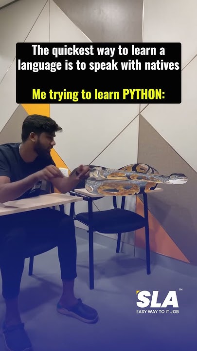 The Quickest Way To Learn Python 🐍 Youtube