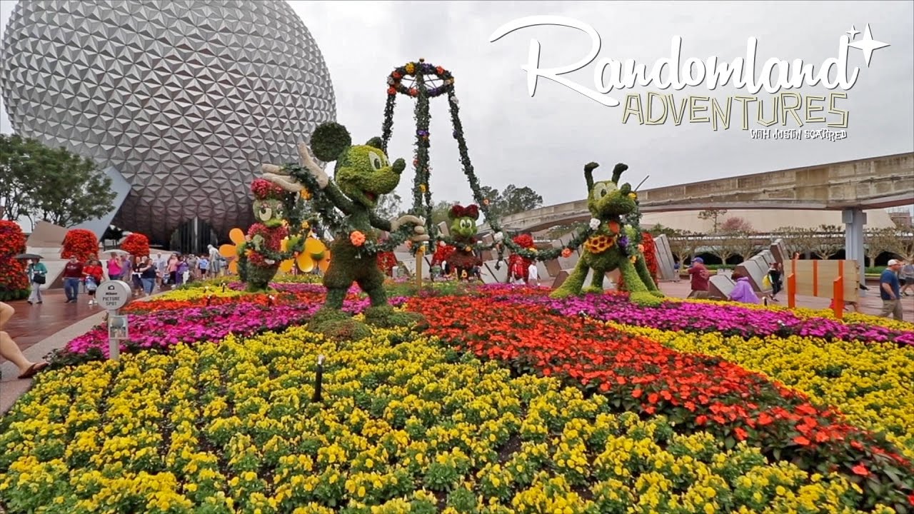 How I spent a drizzly day in Florida, Gators n Epcot! OH MY - YouTube