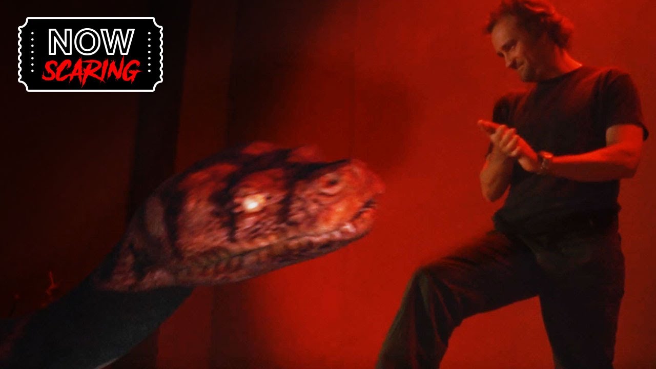 Boa Vs Python | It's A Snake Eat Snake World - YouTube