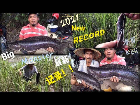 toman monster//多曼大物😱New record//新记录//历史性的一天😚😚 - YouTube