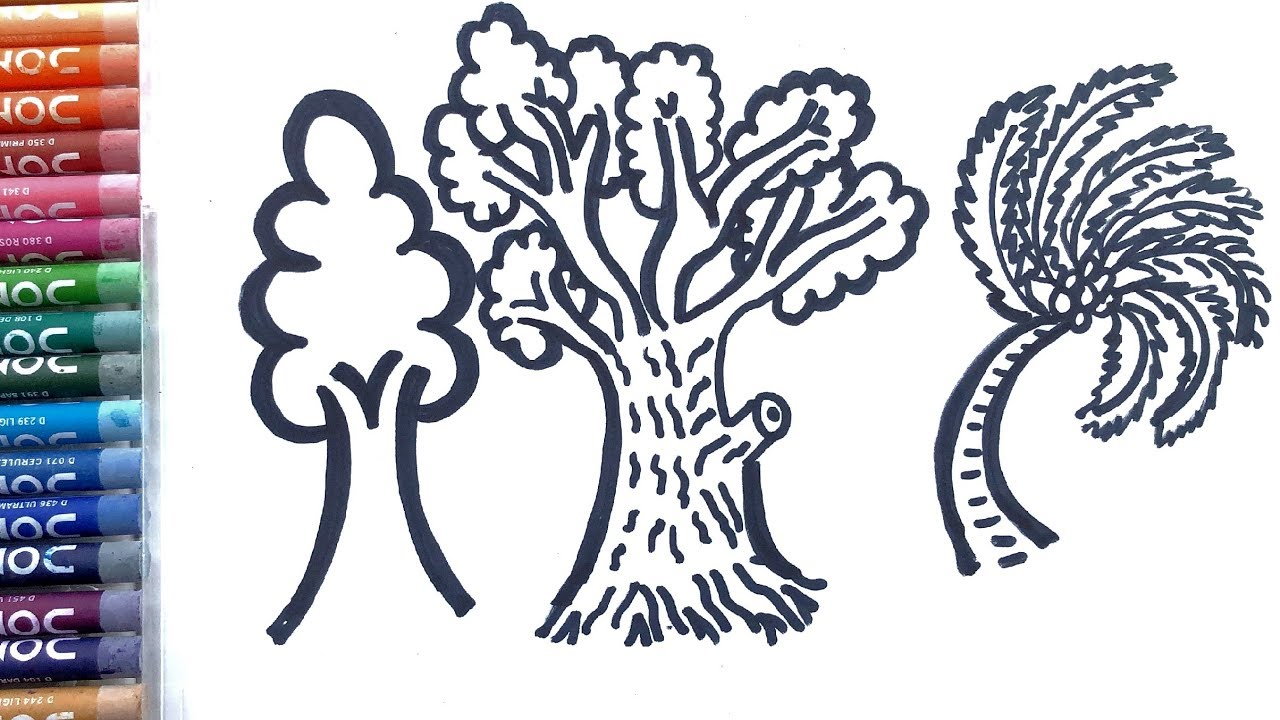 How To Draw aTree/ Three types of Trees/ Learn Colours names - YouTube