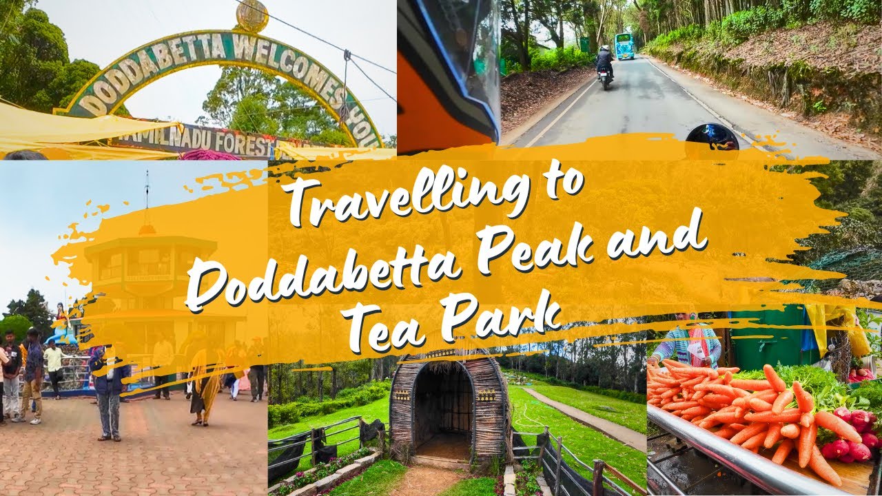 Exploring Doddabetta Peak: A Must-see Destination! - YouTube