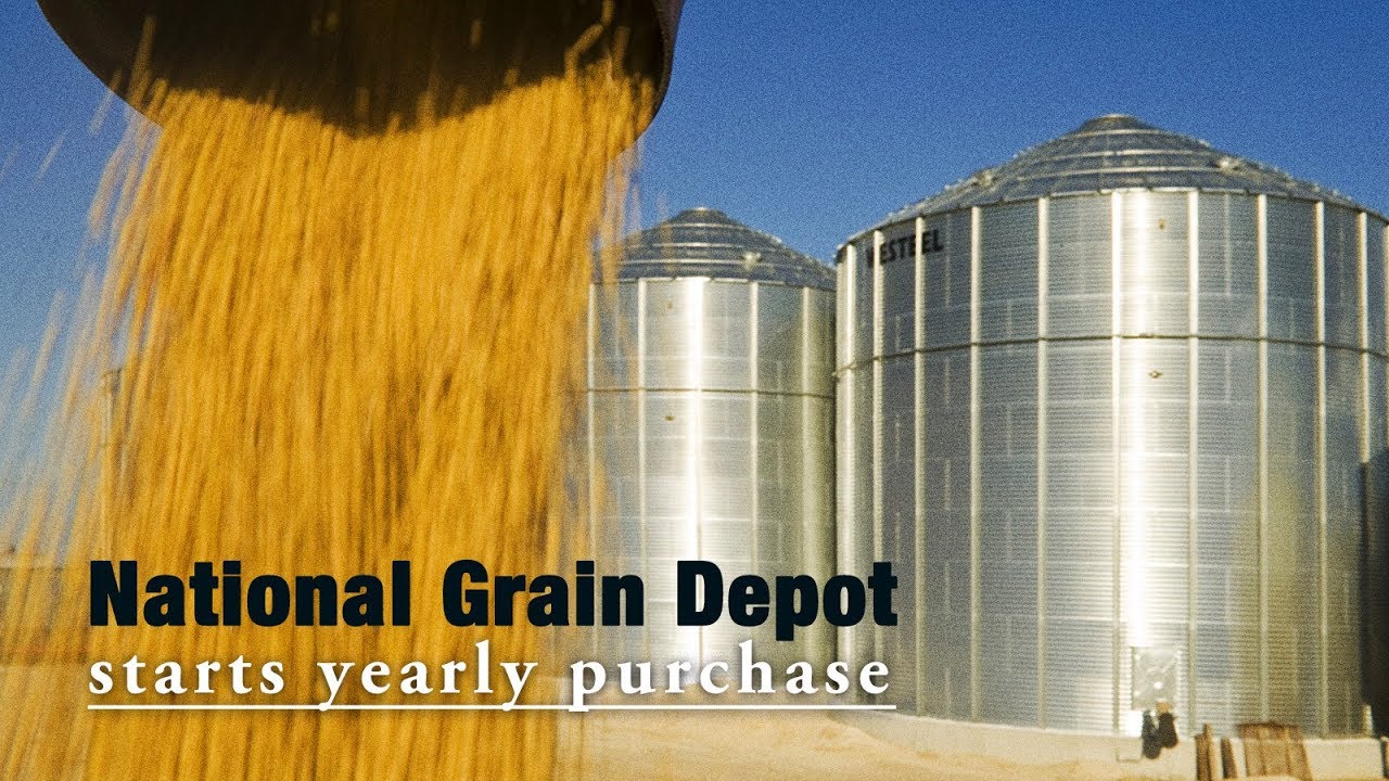 Live: National Grain Depot starts yearly purchase 国储粮库开库收粮 探秘我国最大单体粮库 ...
