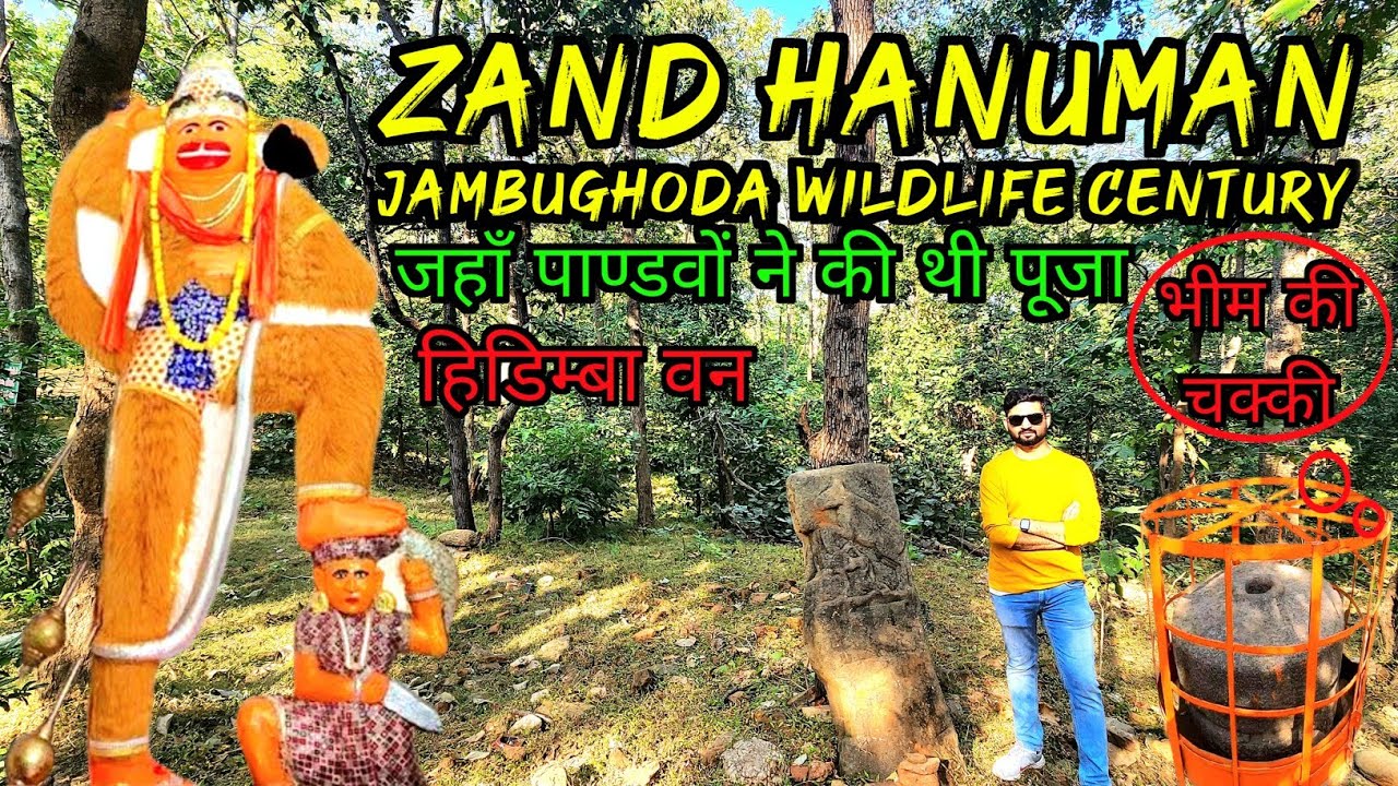 झंड हनुमान | Zand Hanuman | Jambughoda wildlife century | Gujrat ...