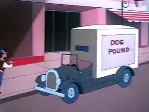 sylvester female dog