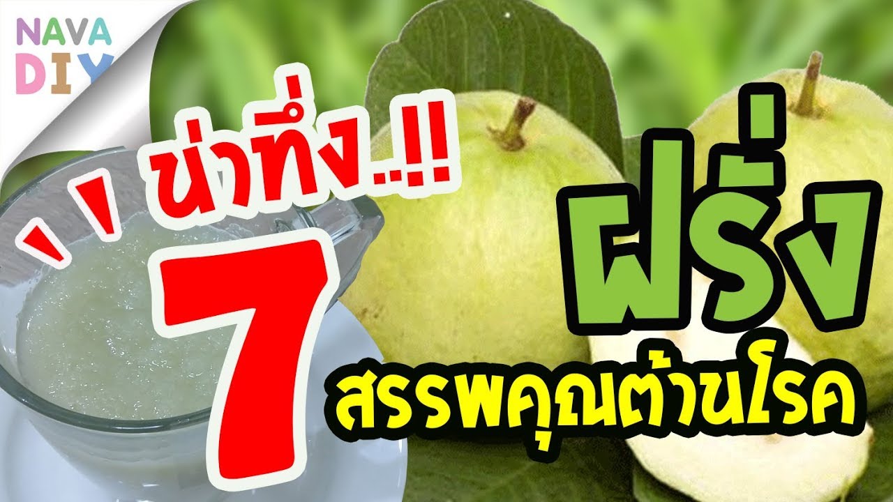 Nava DIY | Easy to drink guava น่าที่ง..!! พบ 7 สรรพคุณต้านโรคของฝรั่ง ...