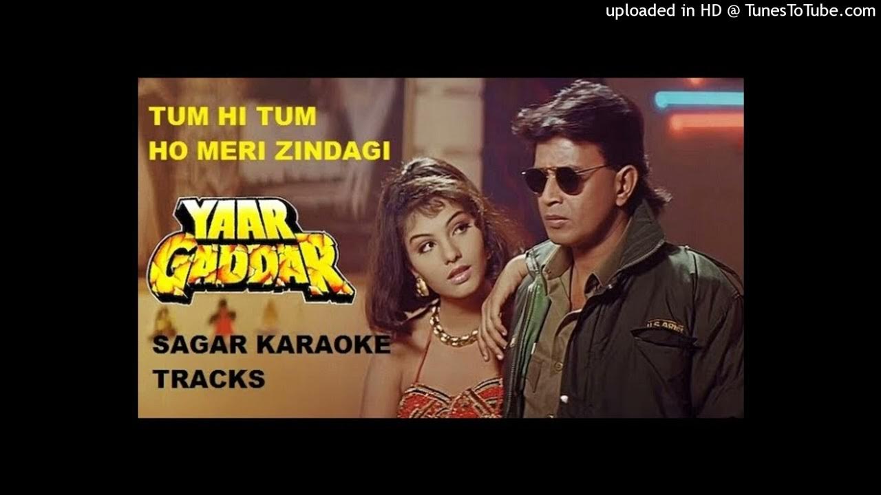 Slowed and Reverb TUM HI TUM HO MERI ZINDAGI -__ KUMAR SANU _ ALKA YAGNIKâ¥ï¸â¥ï¸ LOVE SONG_128K ...