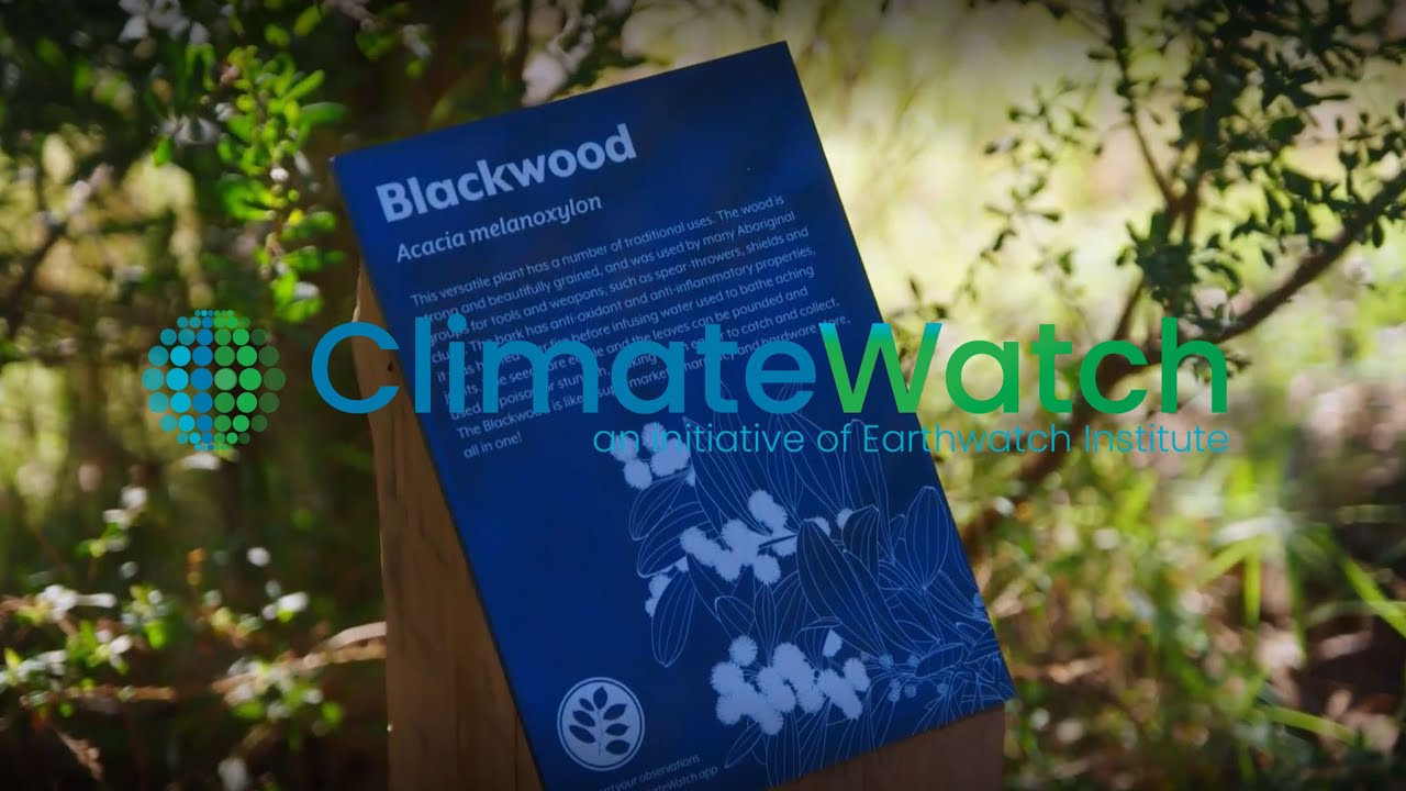 ClimateWatch: Earthwatch Programs - YouTube