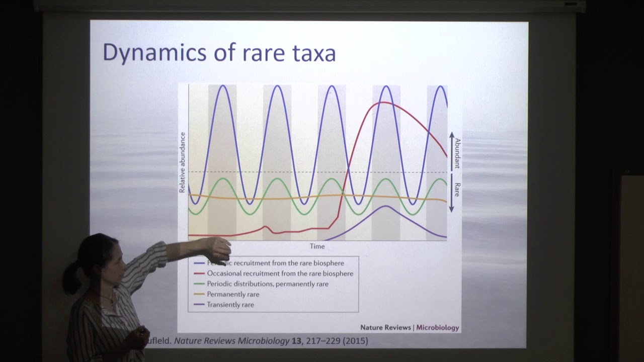 Dr. Erin Lipp, College of Public Health at The University of Georgia ...