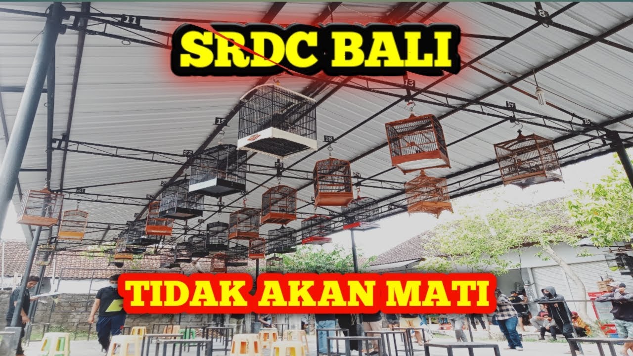 SRDC Bali || Gantangan PB.Satria Denpasar - YouTube
