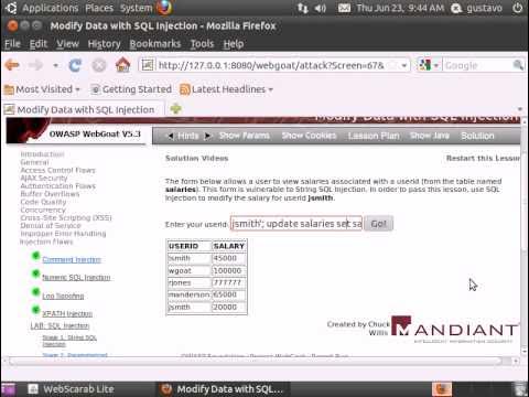 WebGoat v5.3 - Injection Flaws - Modify Data with SQL Injection - YouTube