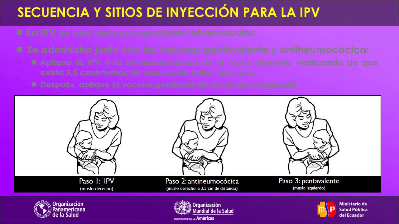 Administración de la IPV - YouTube