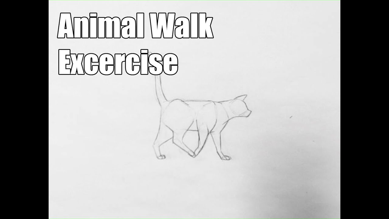 Animal Walk Animation Excercise - YouTube