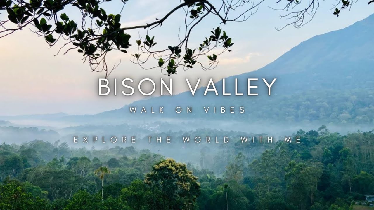 Walk on Bison Valley | Munnar | Bison Valley | Couples | Family ...
