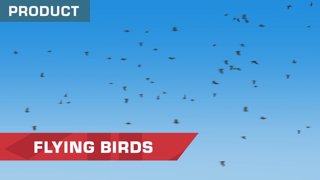 NEW: Flying Birds Stock Footage Now Available | ActionVFX - YouTube