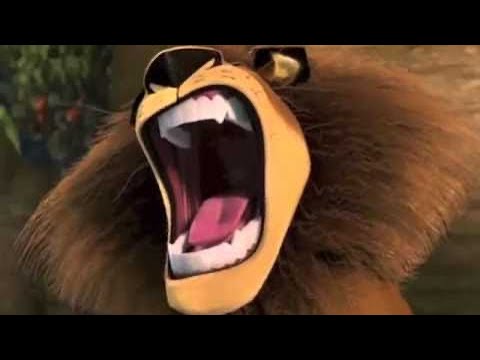 Alex The Lion Roars like Hulk - YouTube