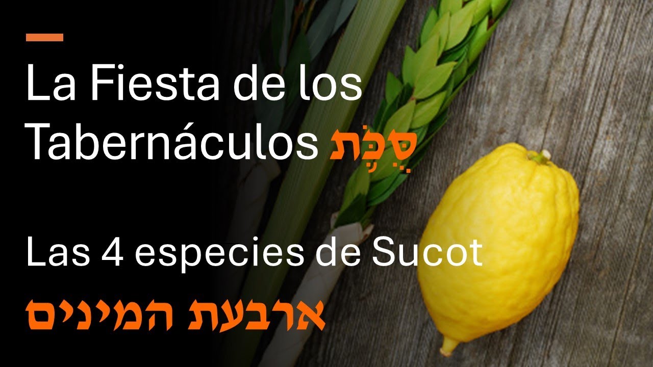 La fiesta de Sucot | Las 4 especies de Sucot | Arbaat Haminim ...