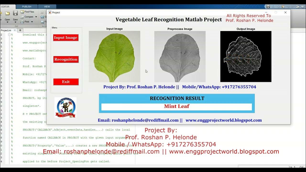 Vegetable Leaf Recognition Using Image Processing Source Code Vegetable Leaf Detection Using