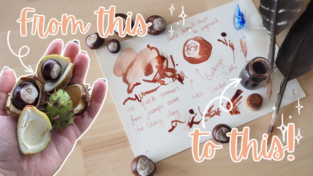 Homemade ink: How to make INK from HORSE CHESTNUTS ★ DIY Art Supplies ...