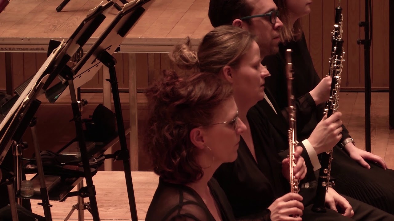 Ignas Maknickas - AIPC 2019 - category B - final round - YouTube