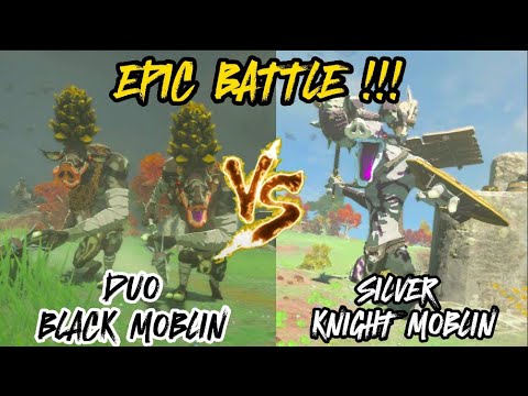 SILVER MOBLIN VS DUO BLACK MOBLIN !! EPIC BATTLE ! (The Legend of Zelda ...