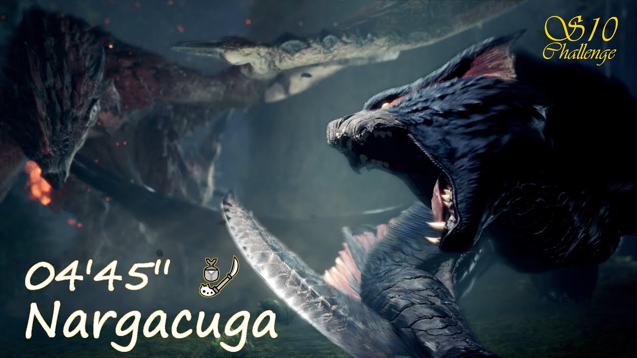 Nargacuga (04'45'') | Insect Glaive | Monster Hunter World: Iceborne ...