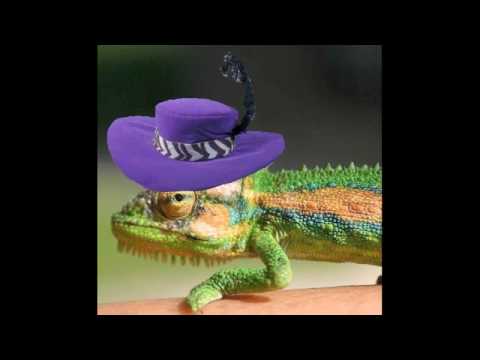 Leon the Chameleon - YouTube