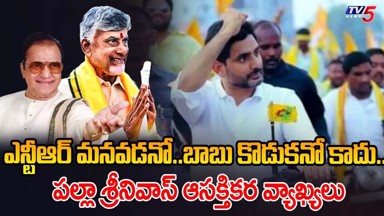 ఎన్టీఆర్ మనవడనో..బాబు కొడుకనో కాదు..TDP State President Palla Srinivas ...