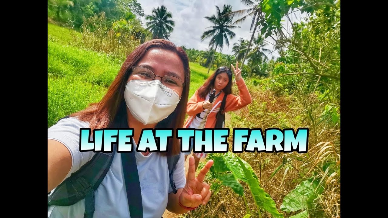 ON OUR WAY TO THE FARM | LIFE at the FARM Part 1 - YouTube