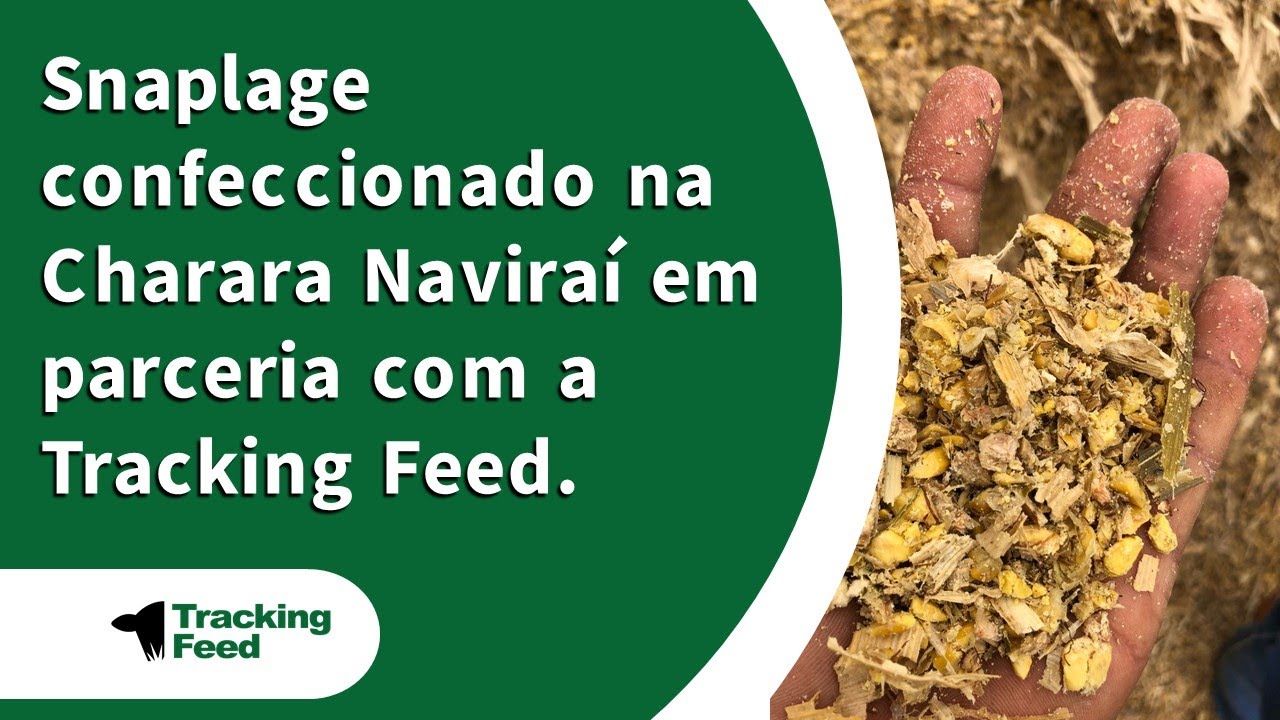 Snaplage confeccionado na Charara Naviraí em parceria com a Tracking ...