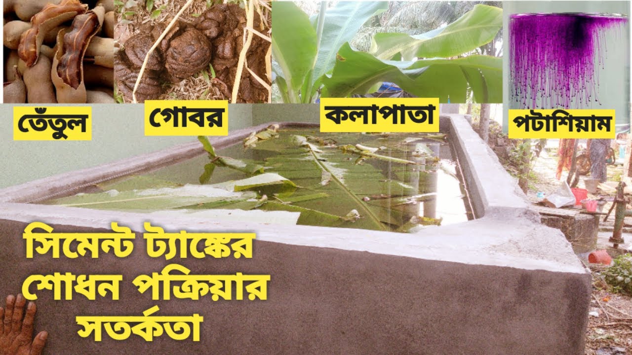 সিমেন্ট ট্যাঙ্কের শোধন পক্রিয়ার সতর্কতা || how to make biofloc cement ...