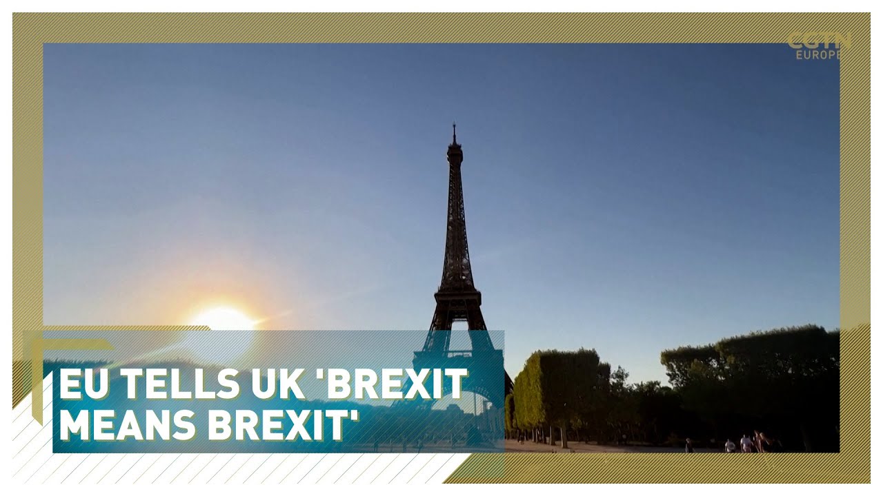 EU reminds UK: ‘Brexit means Brexit’ - YouTube