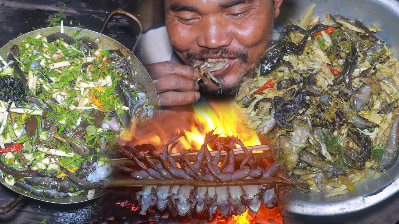Catching Fish & Frogs in Cambodia Cooking a Traditional Wild Feast ...