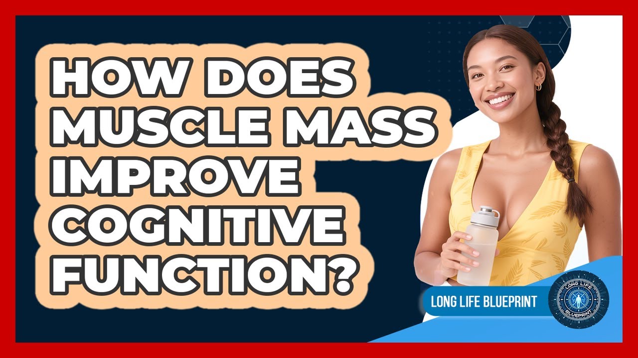 How Does Muscle Mass Improve Cognitive Function? - Long Life Blueprint ...