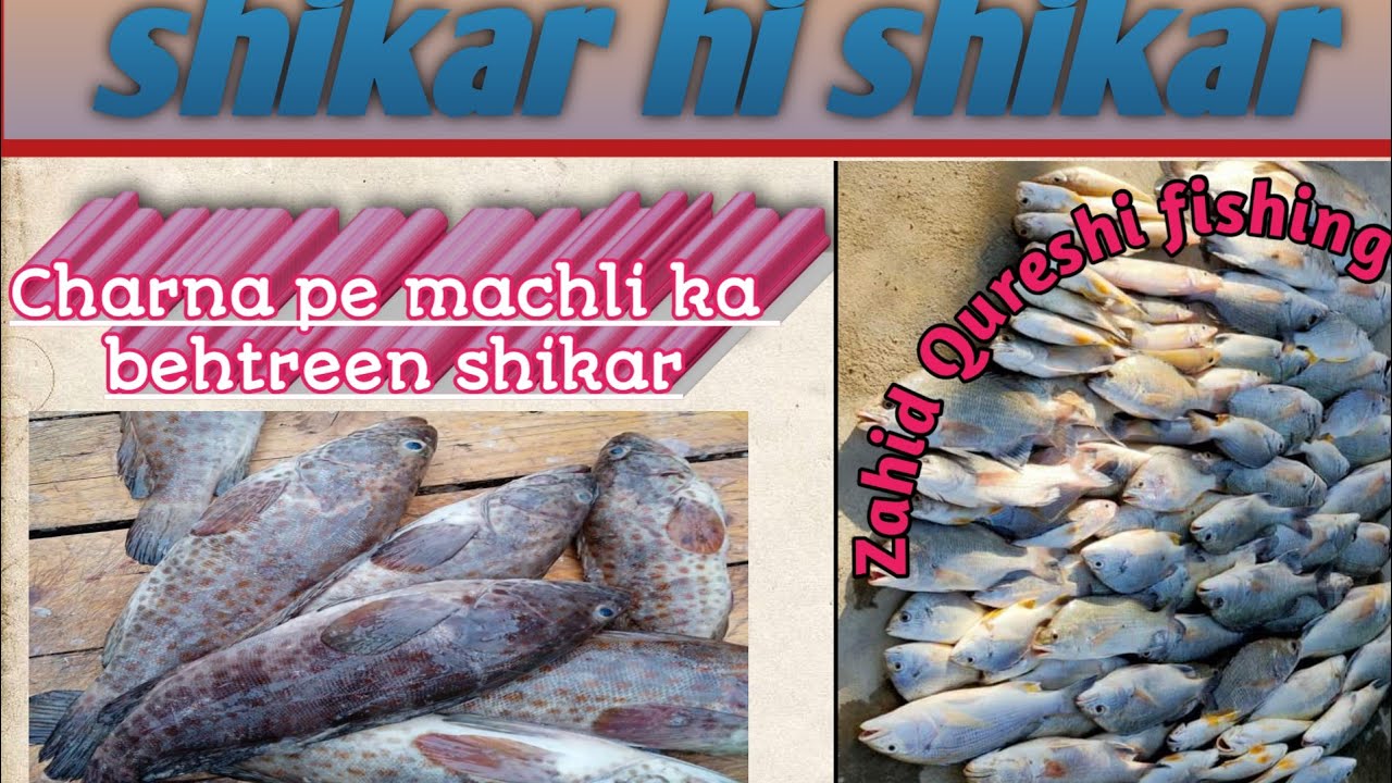 Charna fishing || Karachi Fishing|| Pakistan fishing|| bottom fishing ...