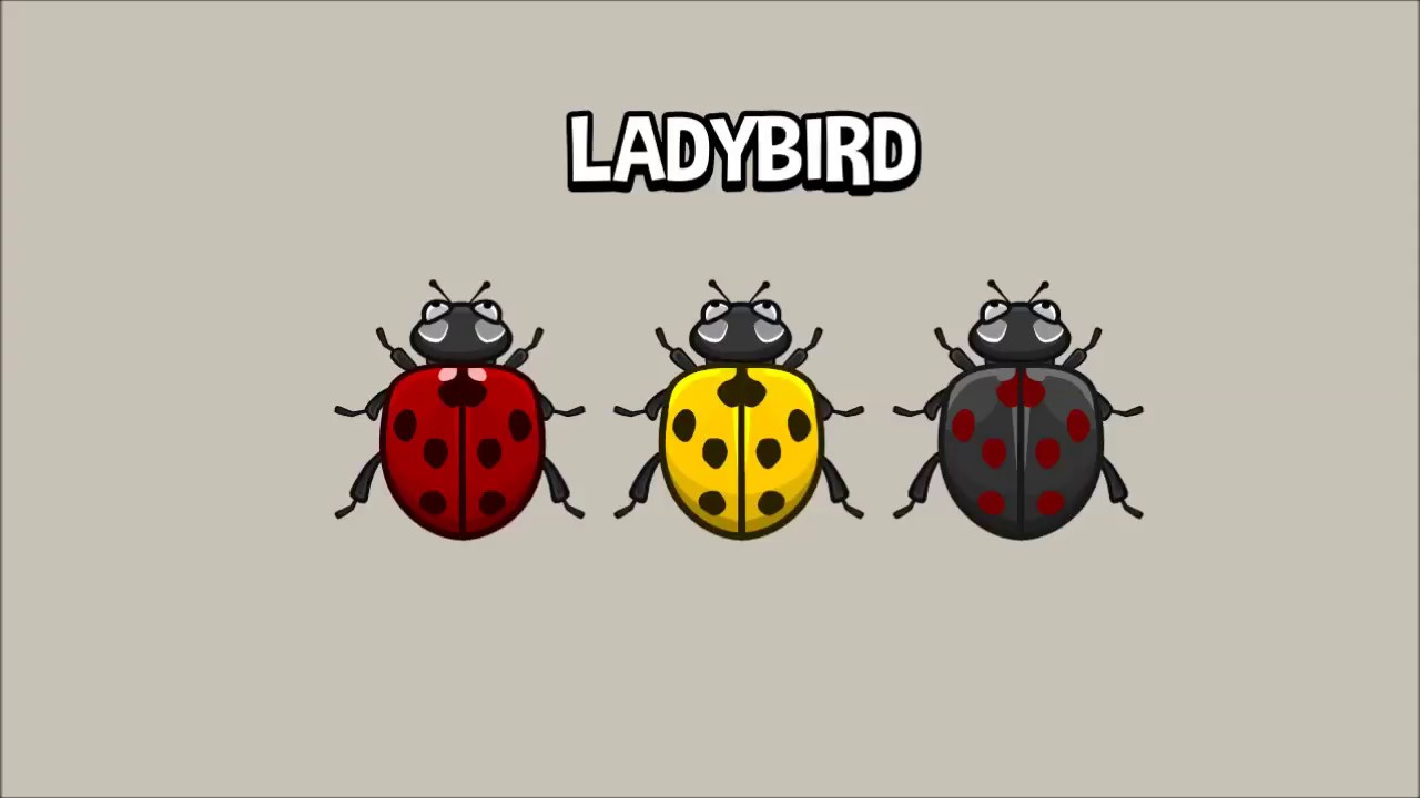 ladybird game asset animation preview - YouTube