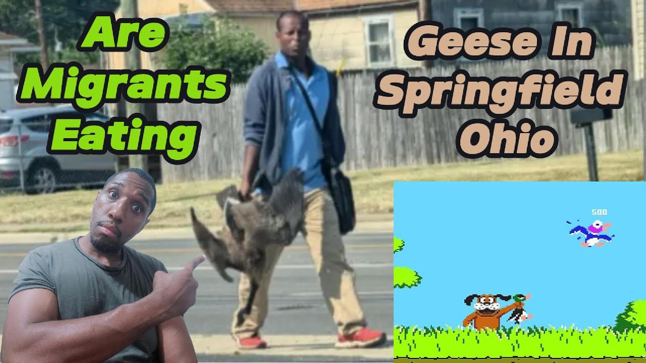 Are Immigrants Really Eating Geese In Springfield Ohio? - YouTube