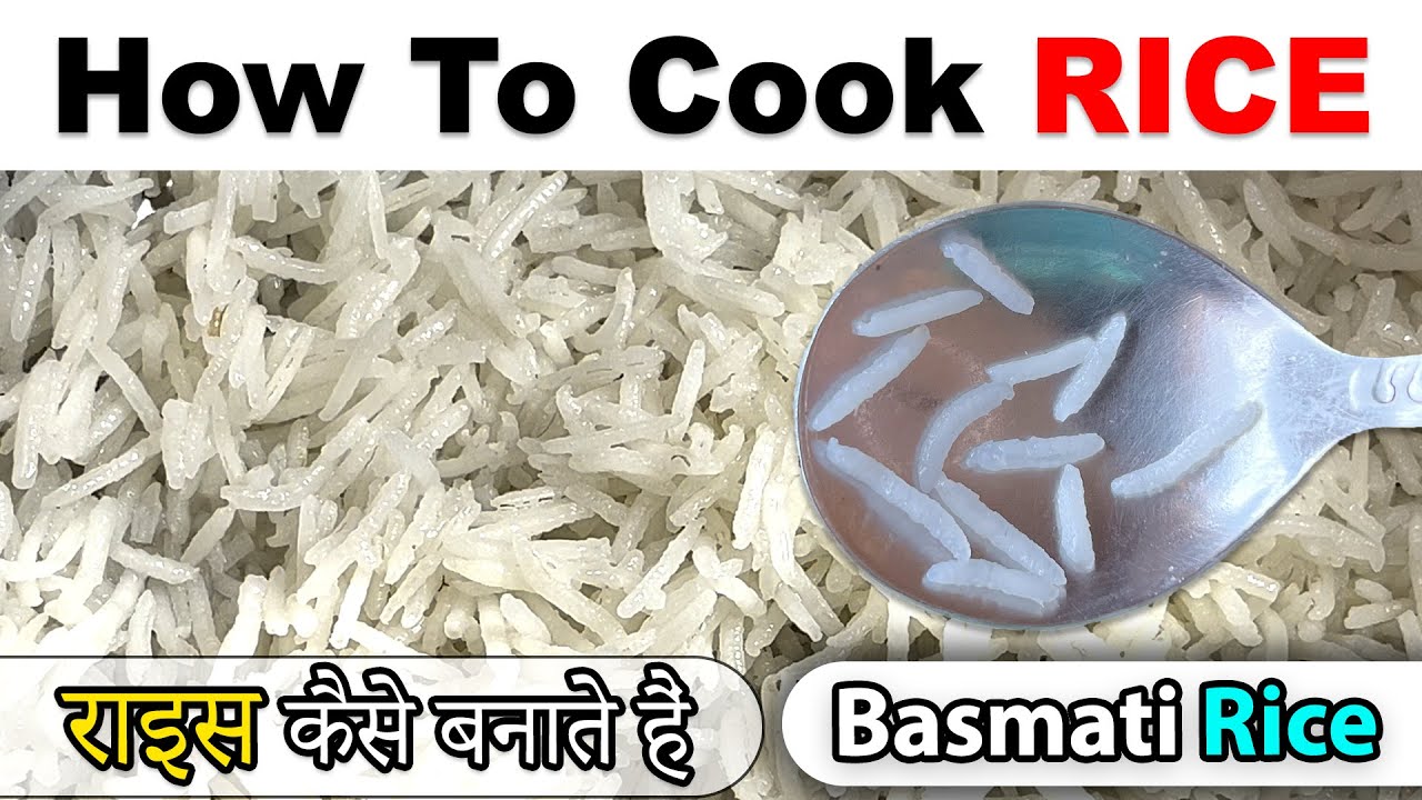 How to Cook Rice | Rice | Basmati Rice | Rice kaise banate hain | राइस ...
