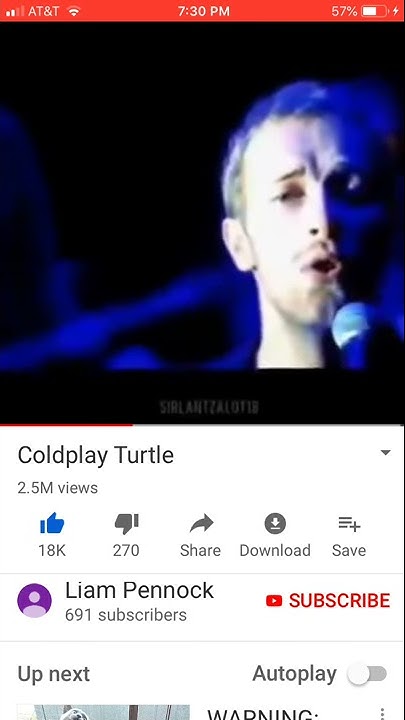 Coldplay turtle 🐢 - YouTube