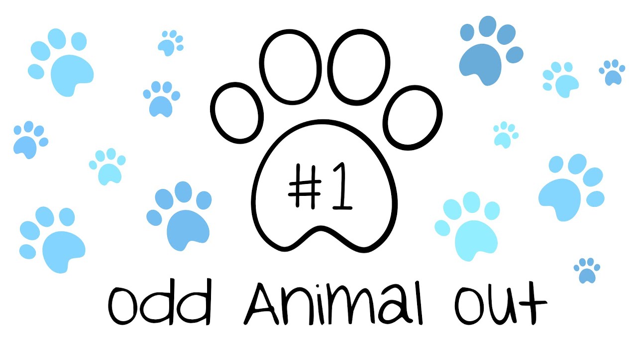 Odd Animal Out: Set 1 - YouTube