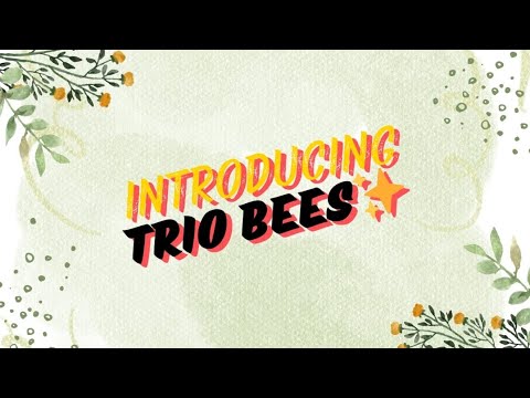 Introduction | First Video | Trio Bees - YouTube