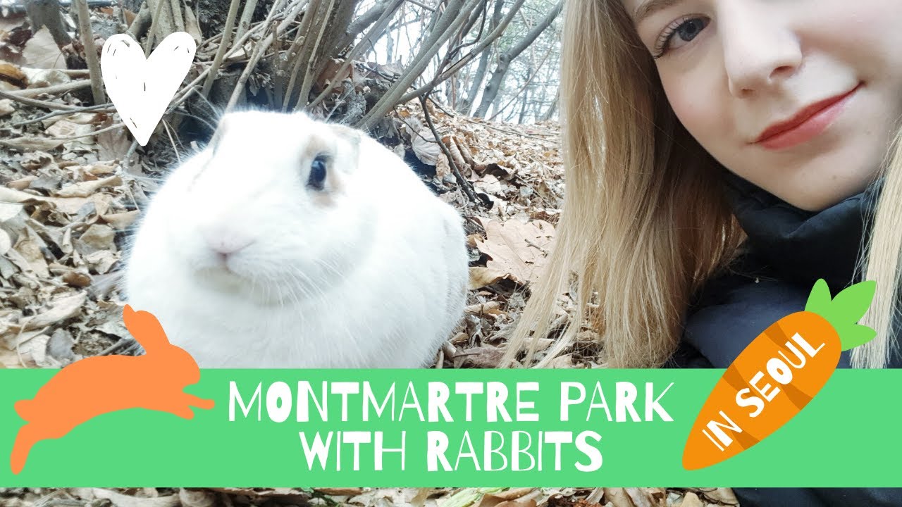 🇫🇷/🇬🇧/🇰🇷 | 🐰 토끼를 보러 몽마르뜨 공원에 다녀왔어요 🌳 | PLAYING with RABBITS in ...