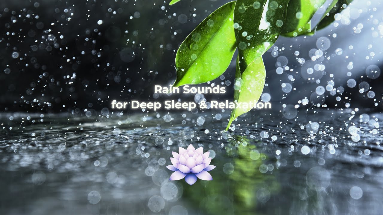 Calming Rainfall on Leaves: For Deep Sleep and Relaxation - YouTube