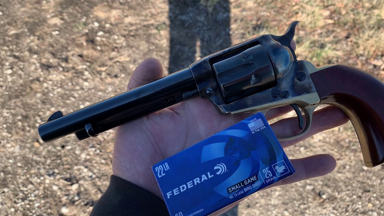 22lr birdshot @ 7 yards Wood target - YouTube