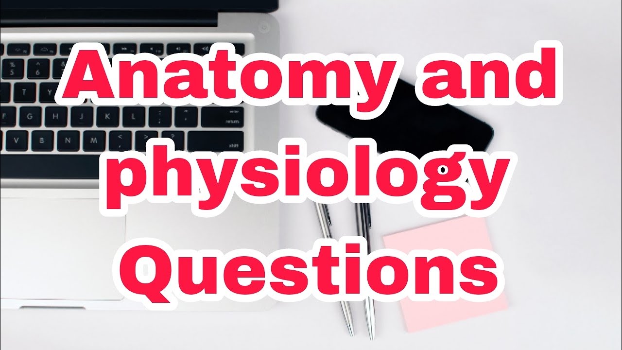 ANATOMY AND PHYSIOLOGY QUESTIONS WITH ANSWERS - YouTube