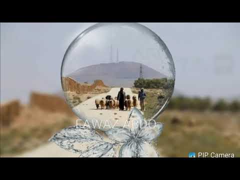 زينوكي زينبي...؟