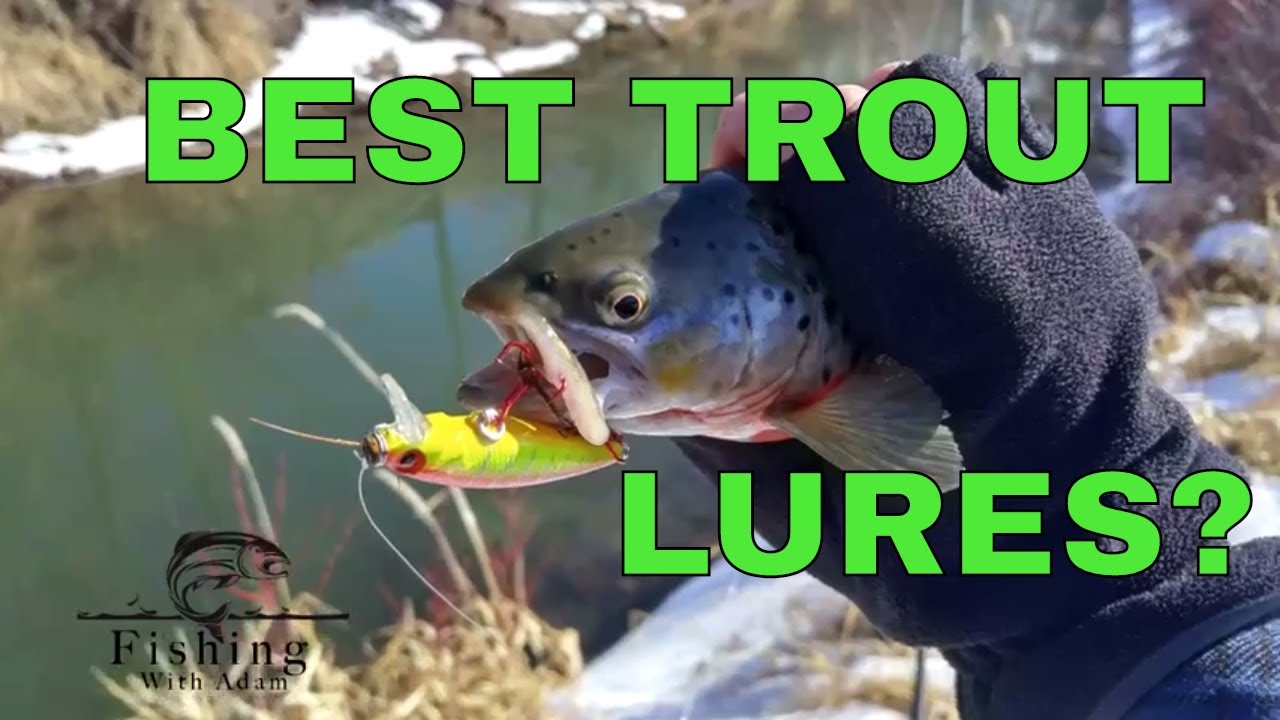 The BEST 2 TROUT LURES | Snake River | BROWN TROUT - YouTube