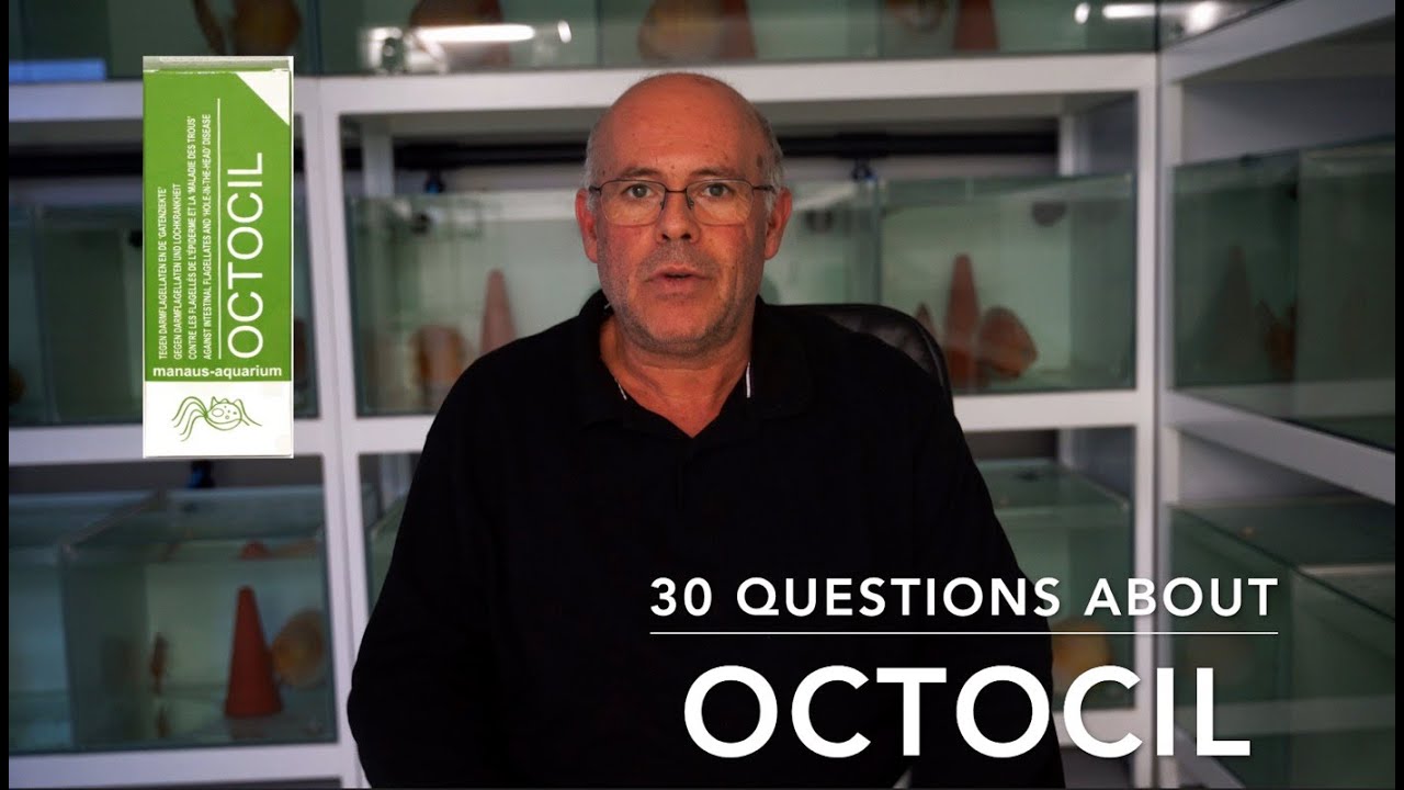 30 questions about Octocil - YouTube