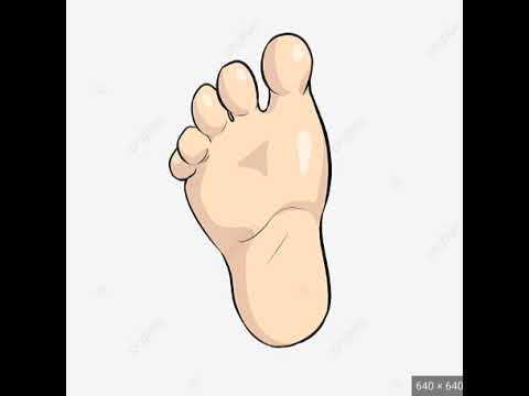 Foot Live Stream - YouTube