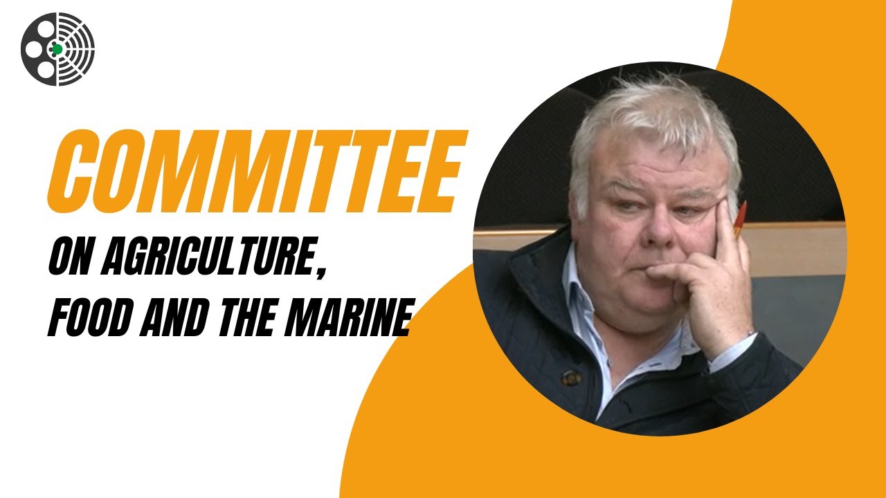 Deputy Michael Fitzmaurice- speech from 19 Apr 2023 - YouTube